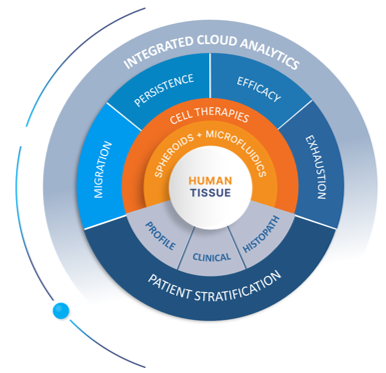 Cell Therapy – Xsphera Biosciences Inc.